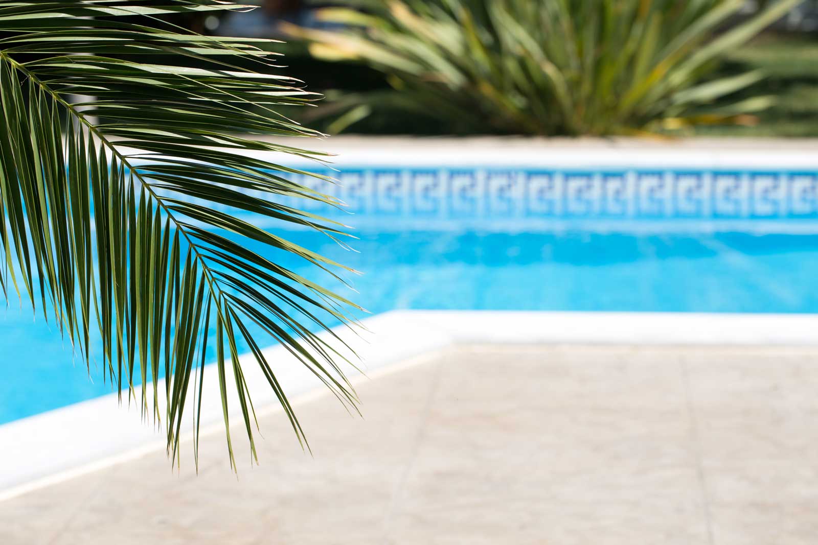 What Makes a Perfect Las Vegas Pool? | American Pool Supply